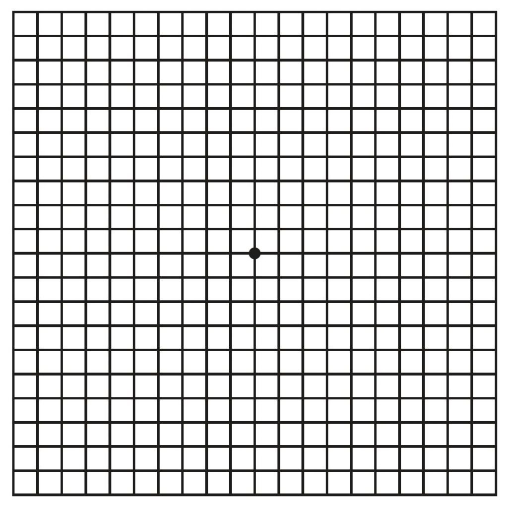 Testing macula function with the Amsler vision test